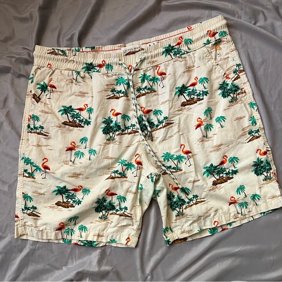 Cactus Man | Shorts | Cactus Man By Ricky Singh Flamingo And Palm Tree ...